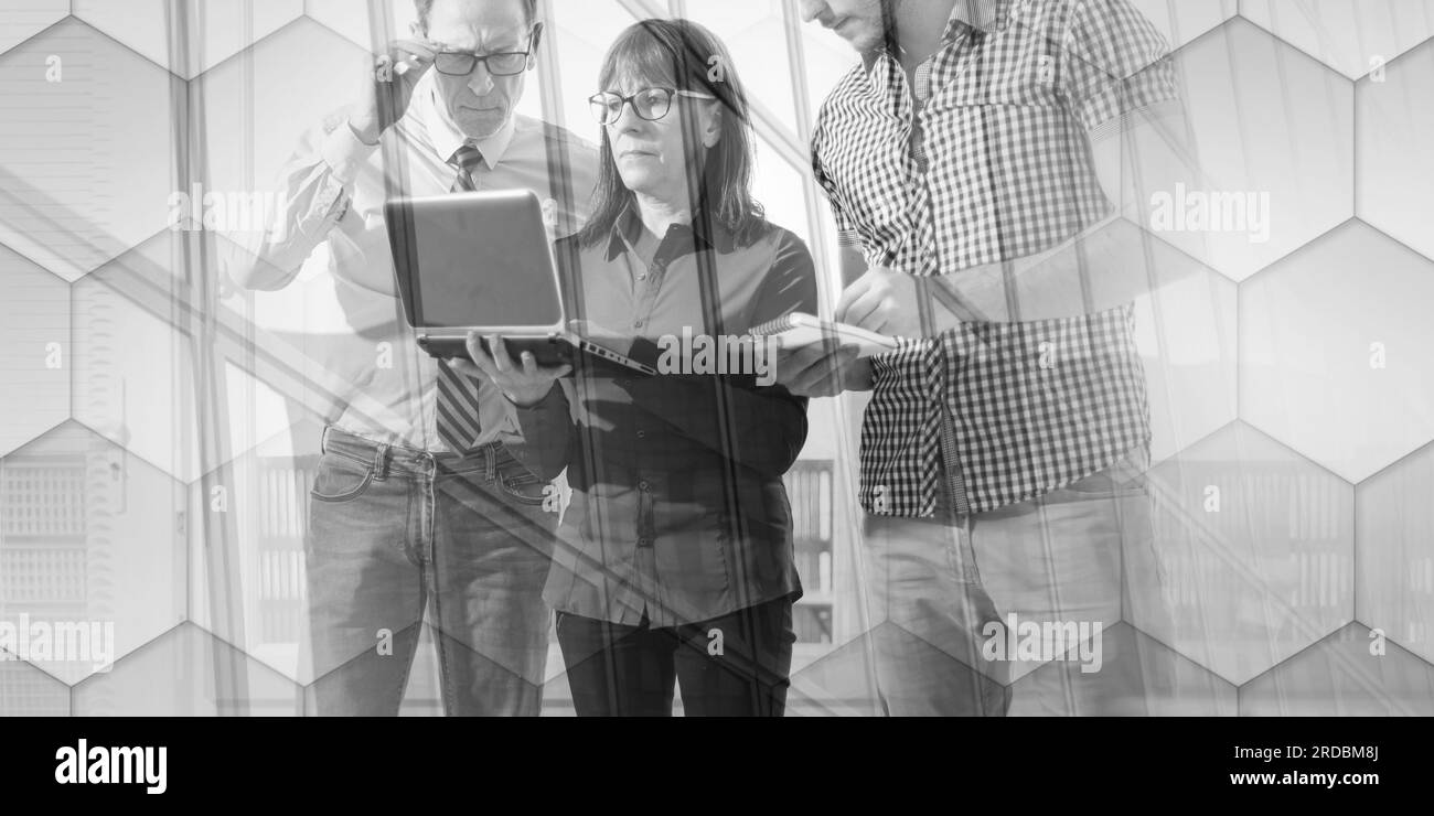 Businesswoman using laptop computer on Black and White Stock Photos ...