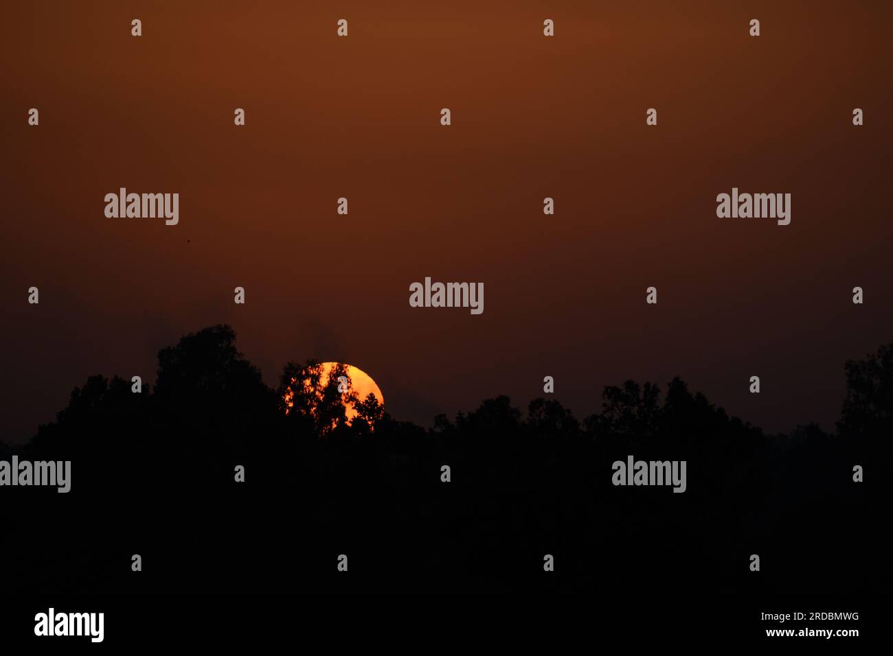 Red Sun behind bushes Stock Photo - Alamy