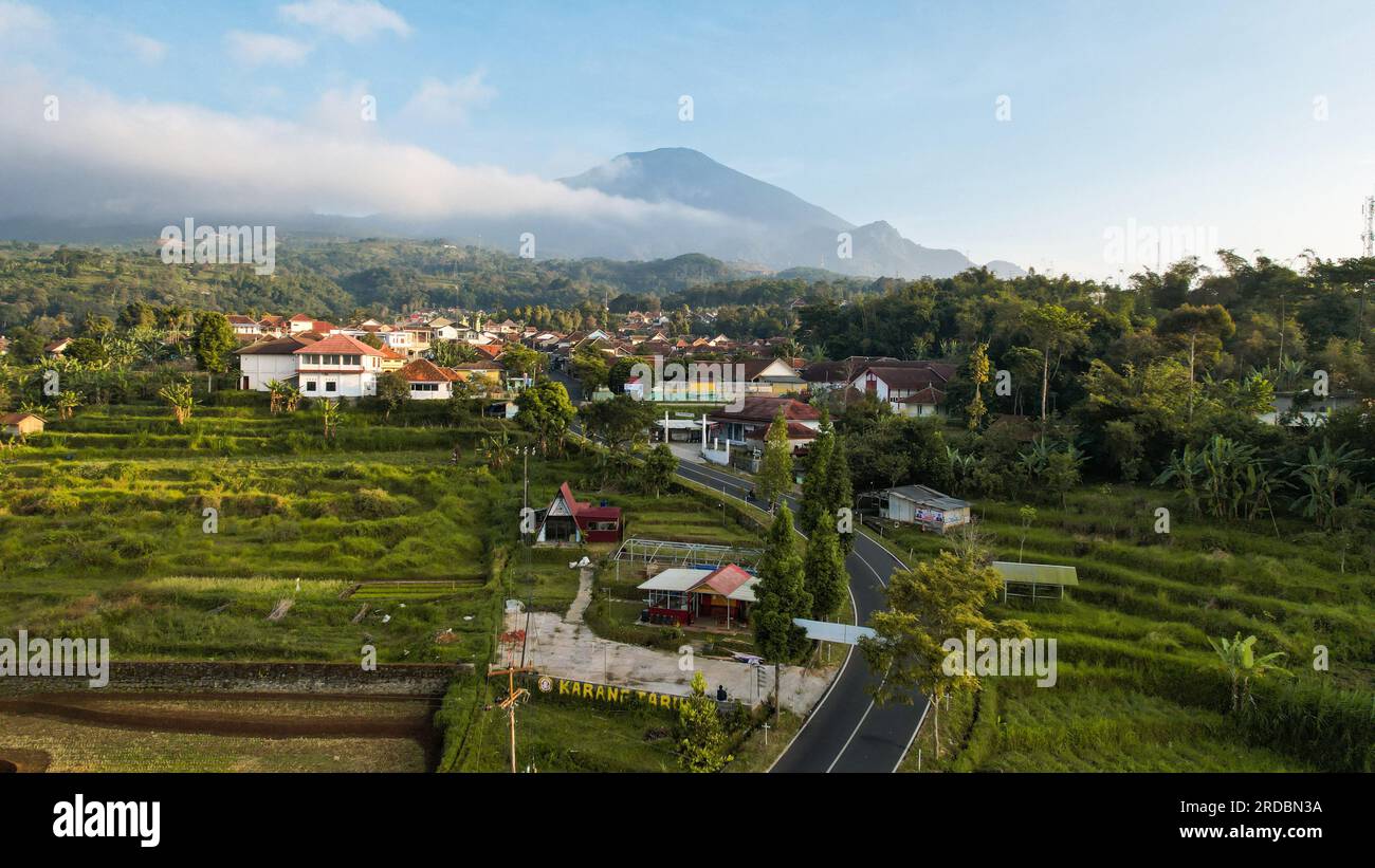 Aerial view of Enjoy the morning with the expanse of rice fields and ...