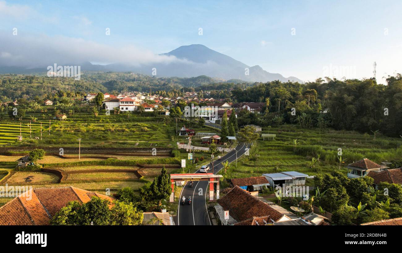 Aerial view of Enjoy the morning with the expanse of rice fields and ...