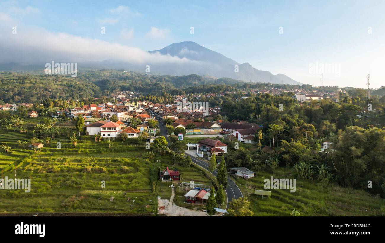 Aerial view of Enjoy the morning with the expanse of rice fields and ...