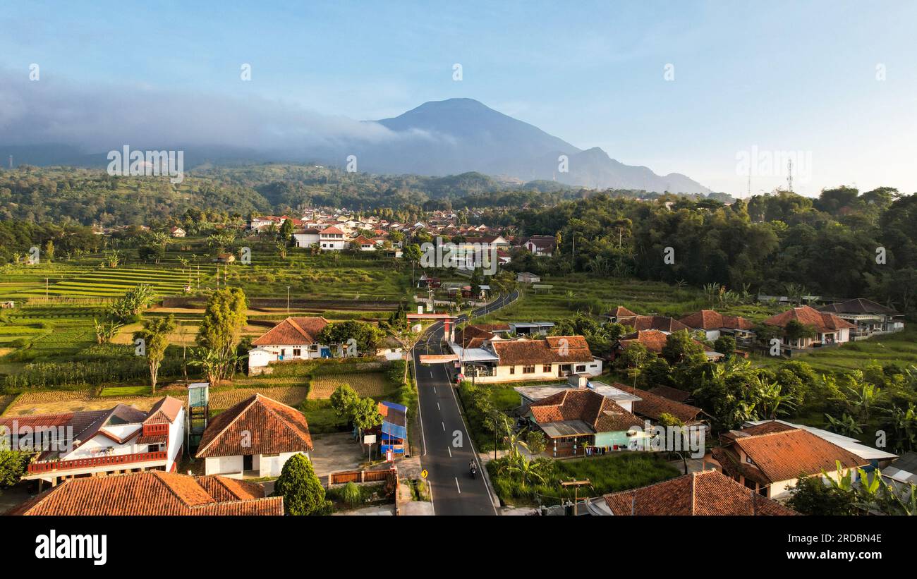 Aerial view of Enjoy the morning with the expanse of rice fields and ...