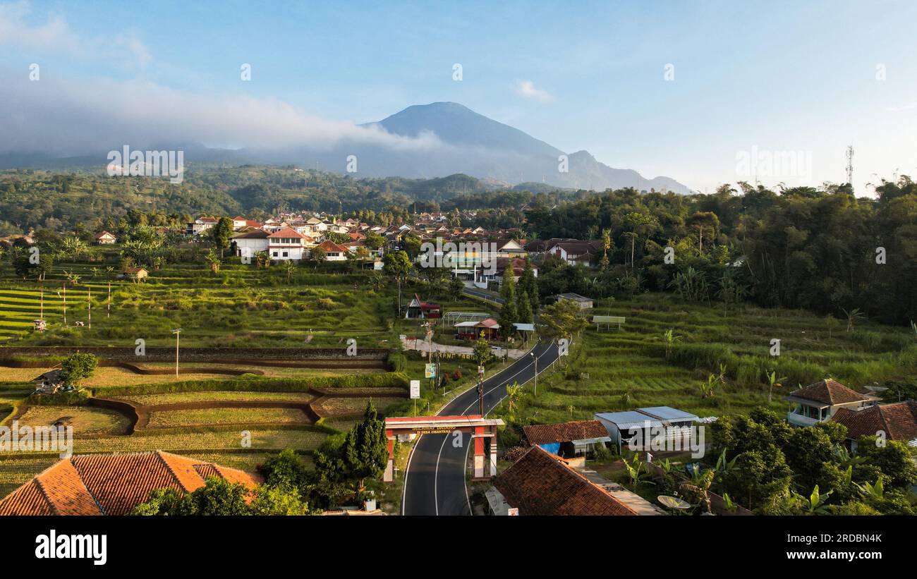 Aerial view of Enjoy the morning with the expanse of rice fields and ...