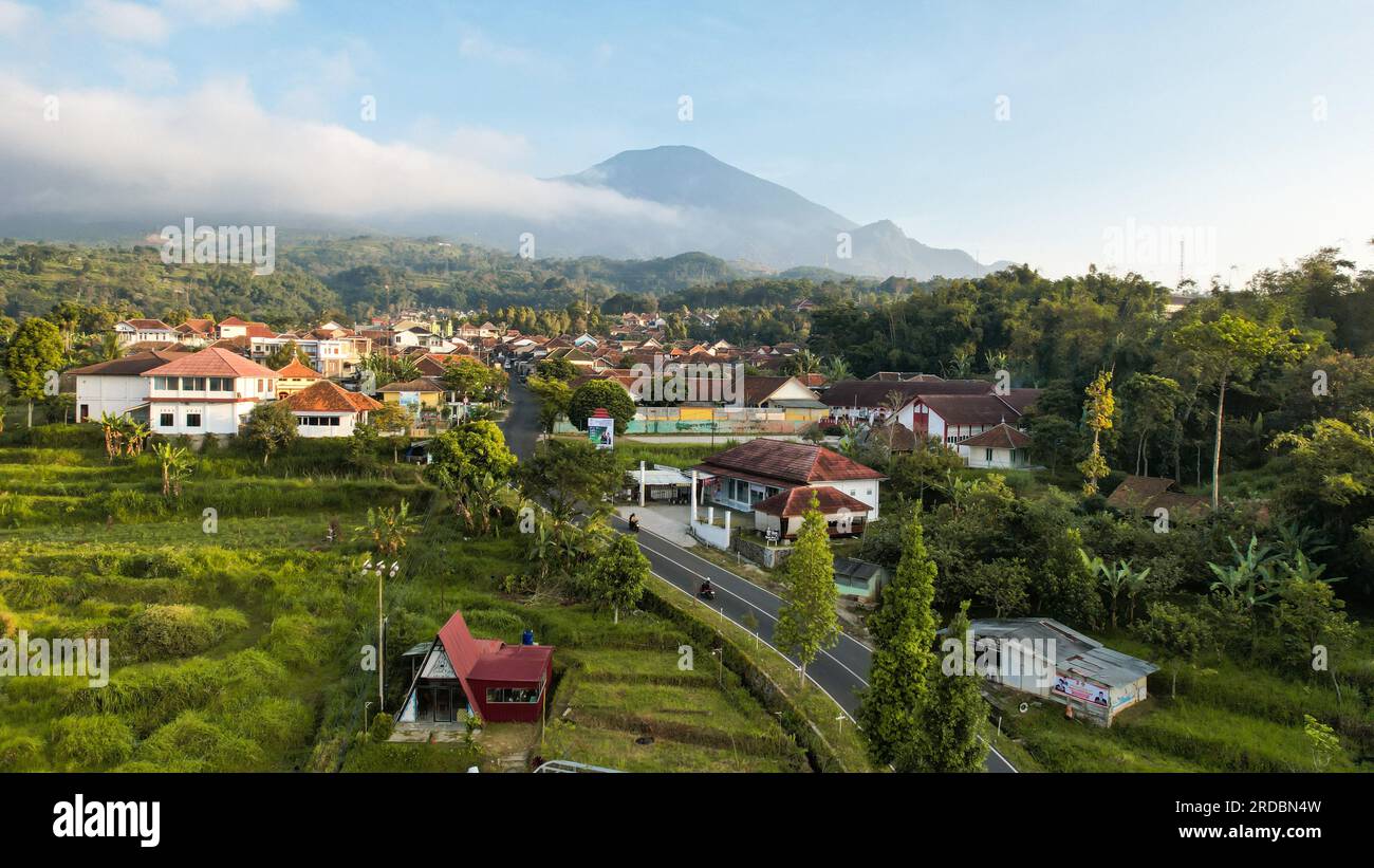 Aerial view of Enjoy the morning with the expanse of rice fields and ...
