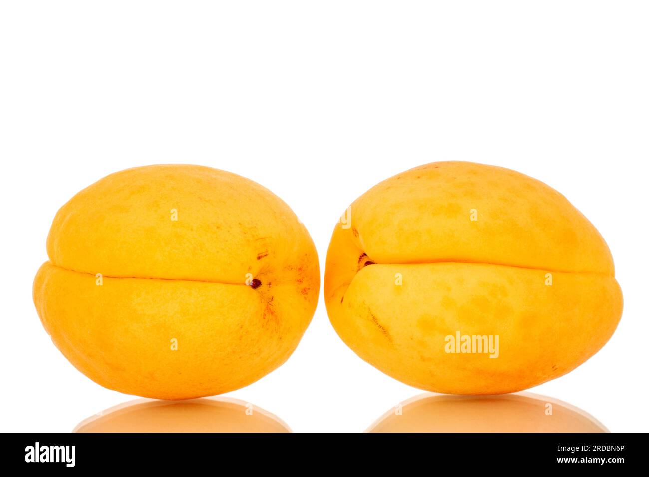 Two ripe sweet apricots, macro, isolated on white background Stock ...