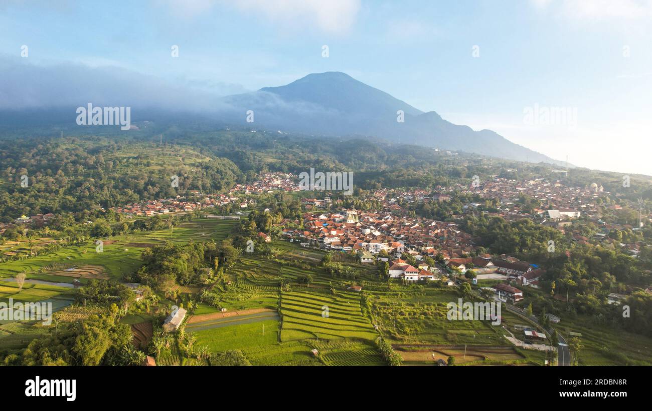 Aerial view of Enjoy the morning with the expanse of rice fields and ...