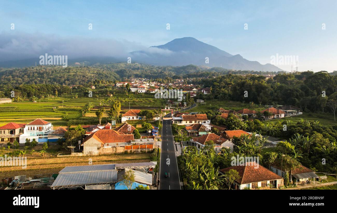 Aerial view of Enjoy the morning with the expanse of rice fields and ...