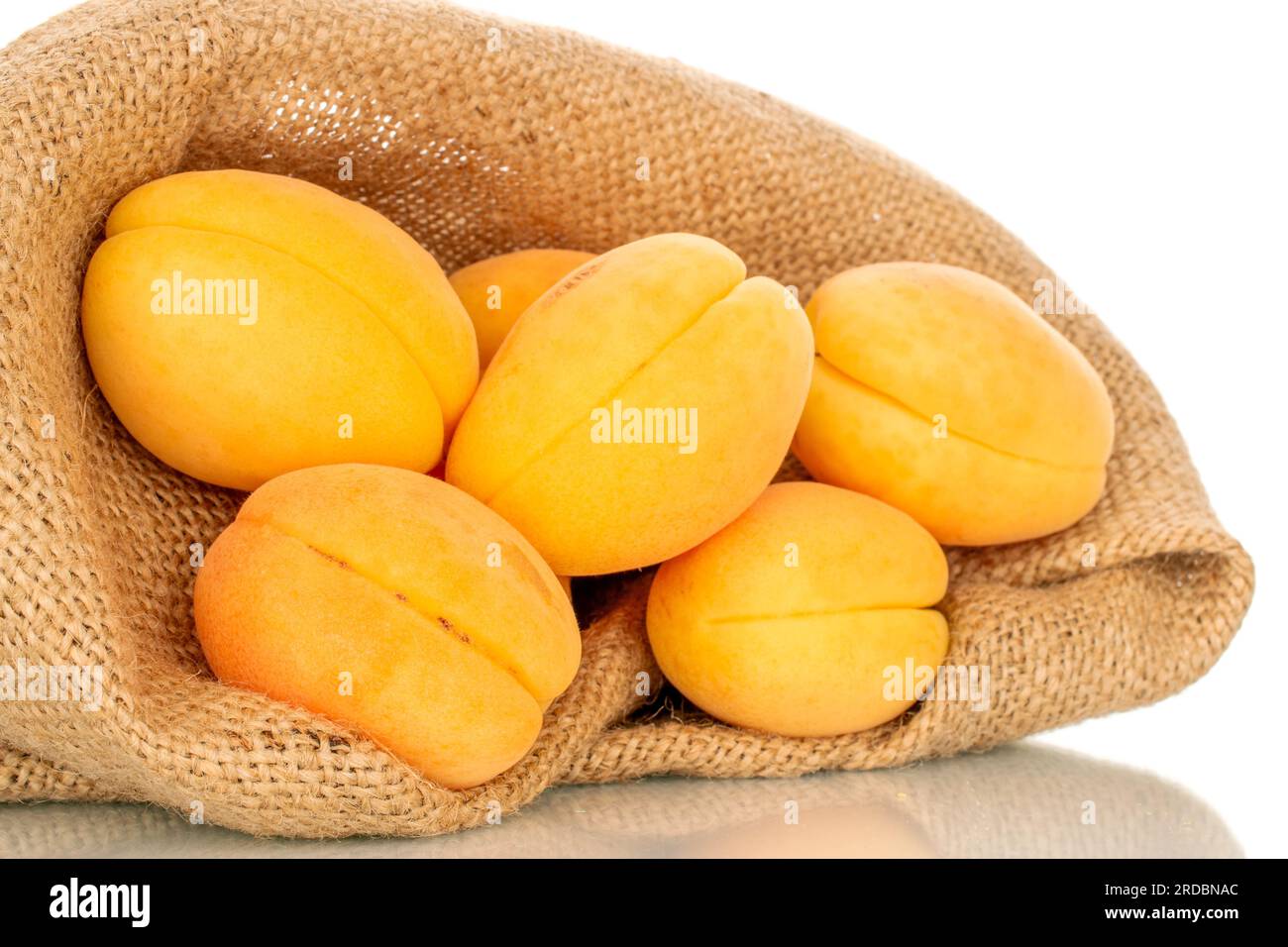 Several bright yellow apricots in a jute sack, macro, isolated on white ...