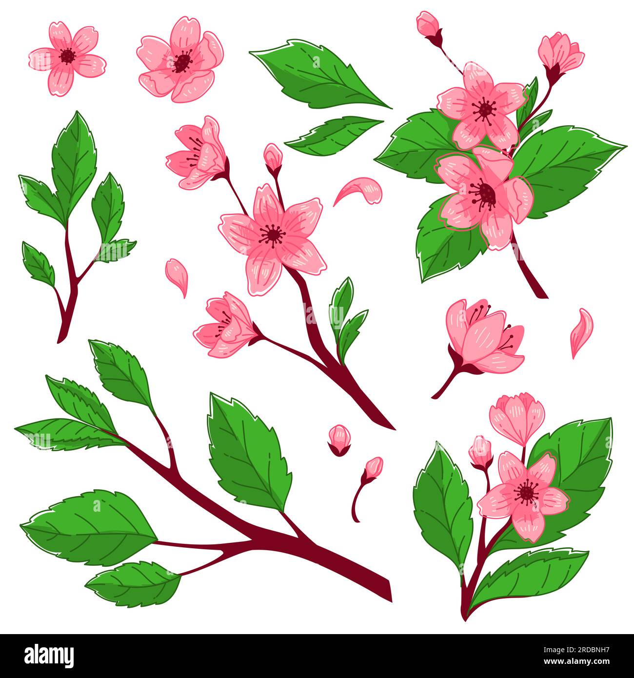 Cherry blossom detail Stock Vector Images - Alamy