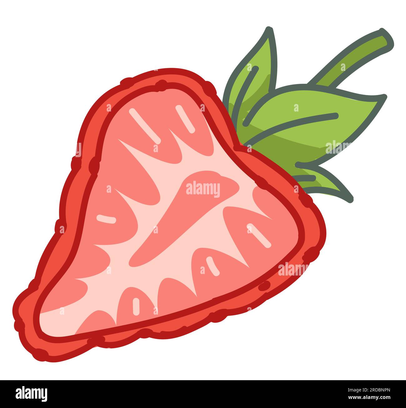 Strawberry cut in half, sweet ripe fruit berry Stock Vector Image & Art ...