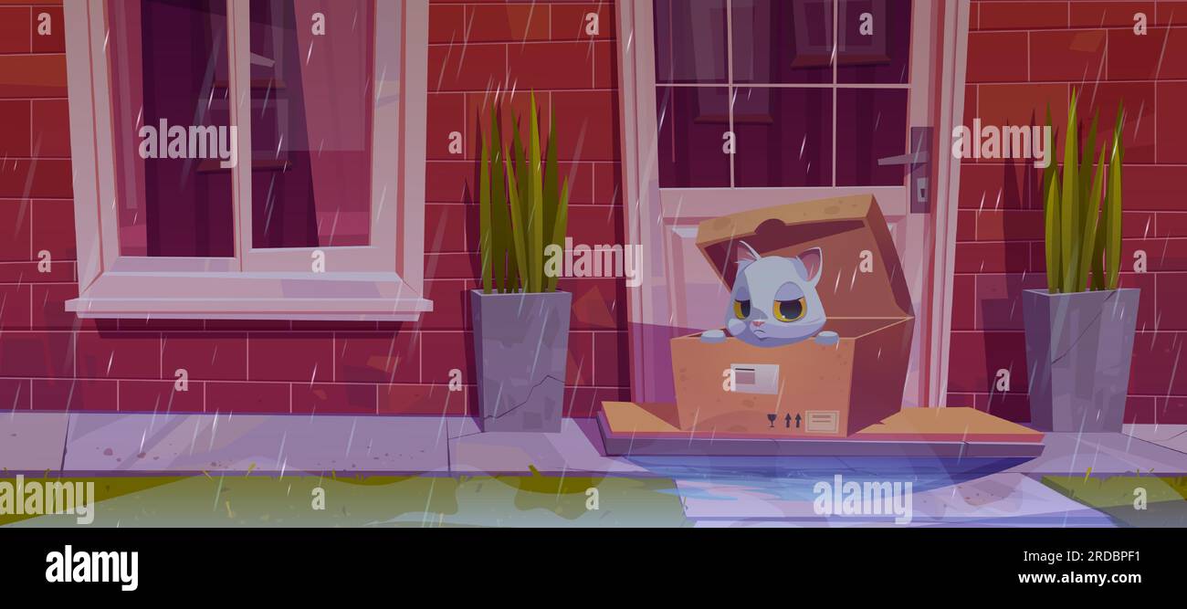 Abandon stray cat in box near house illustration. Dirty and sad waiting ...