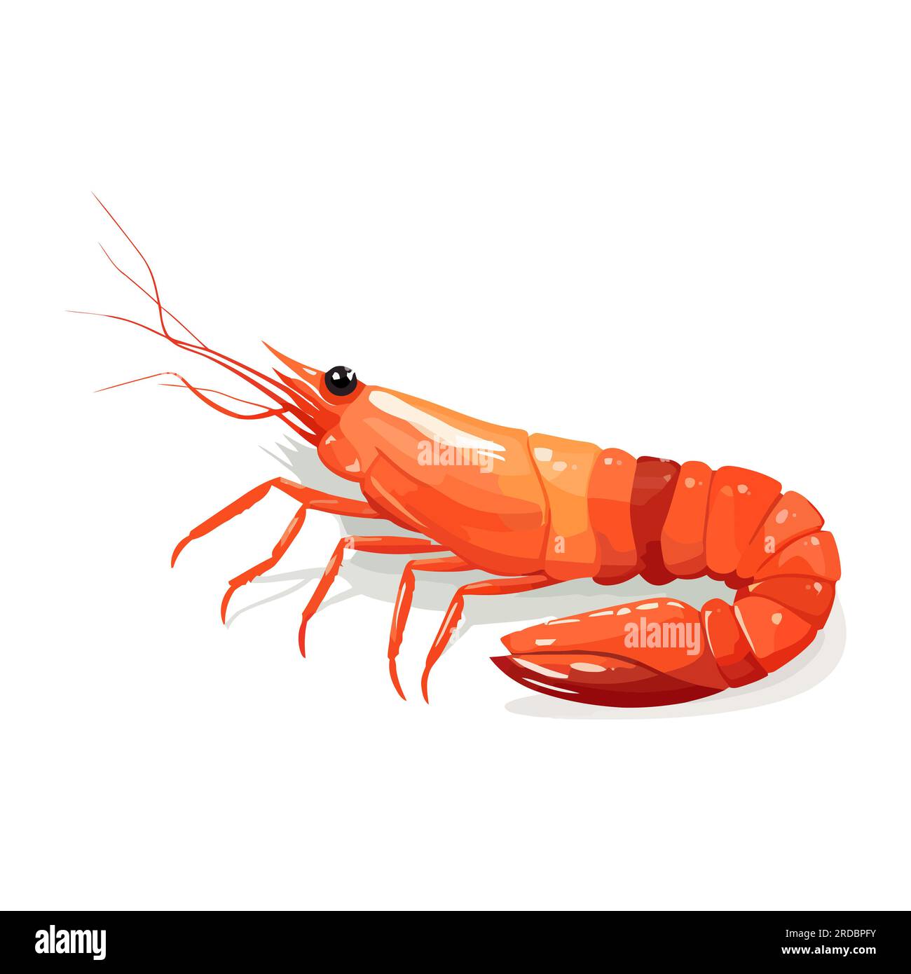 Shrimp image isolated. Shrimp icon. Cute red prawn in flat design ...