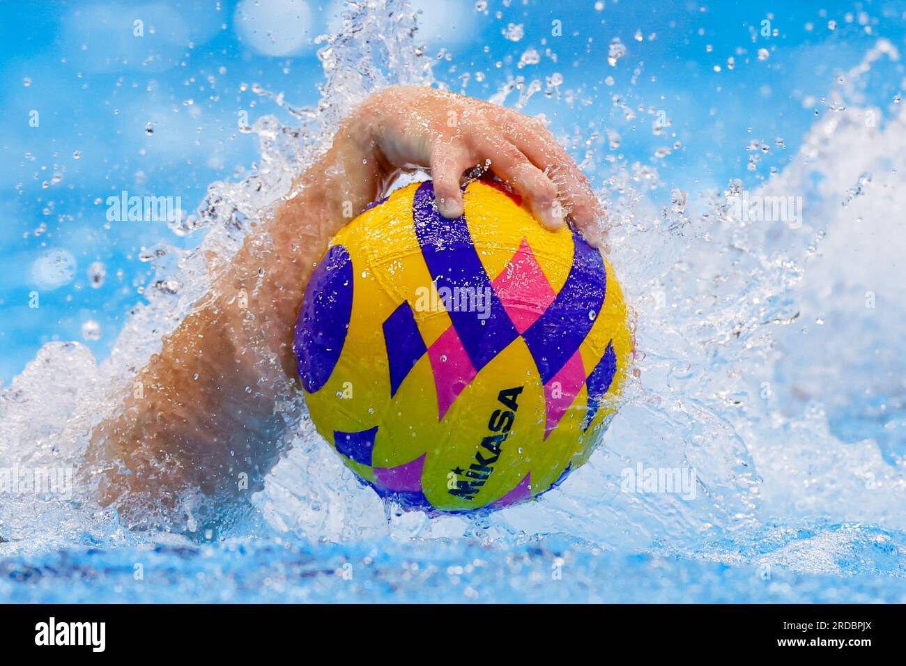Kitty lynn joustra hi-res stock photography and images - Alamy