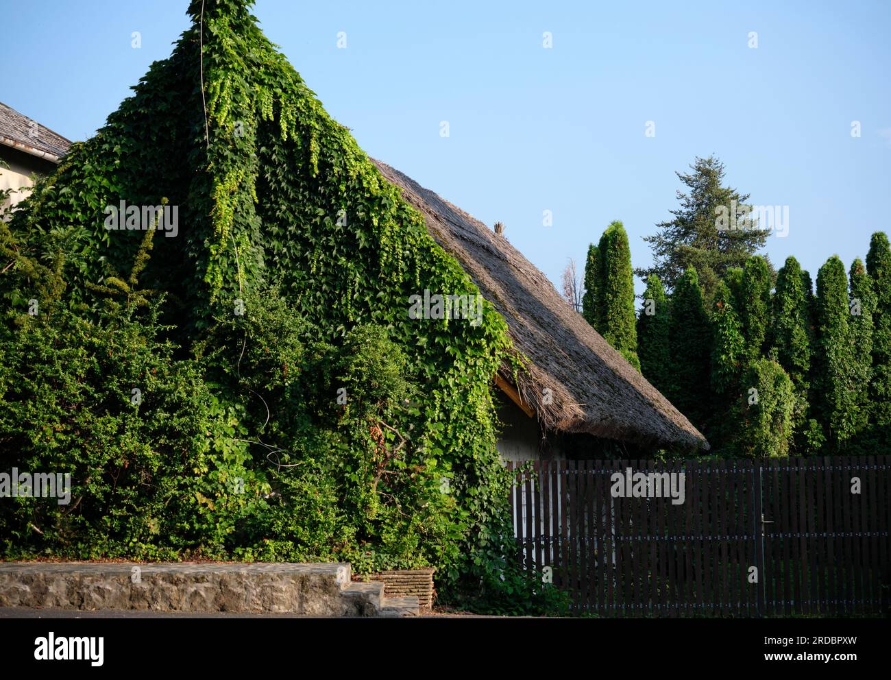 Thatch roof house covered in green vegetation Stock Photo - Alamy