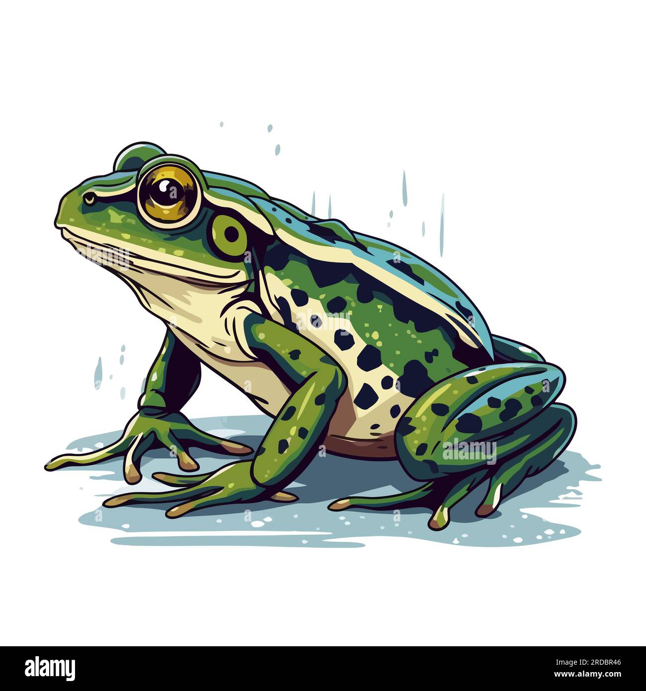 Frog logo design. Abstract drawing frog. Cute toad isolated. Vector ...