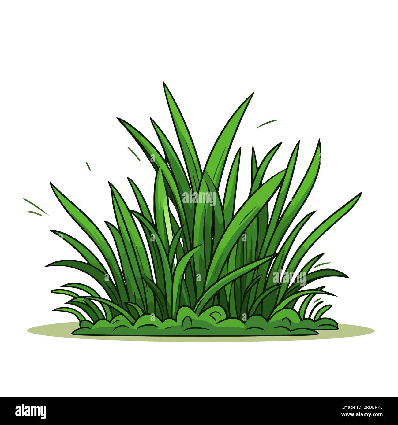 Green grass. Green grass silhouette isolated on a white background ...