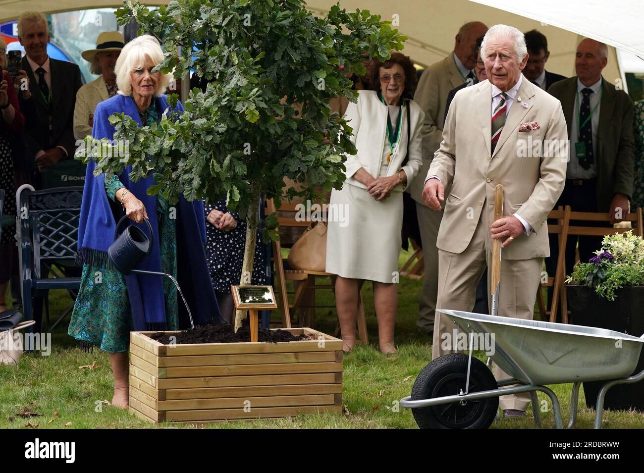 Charles camilla tree hi-res stock photography and images - Alamy