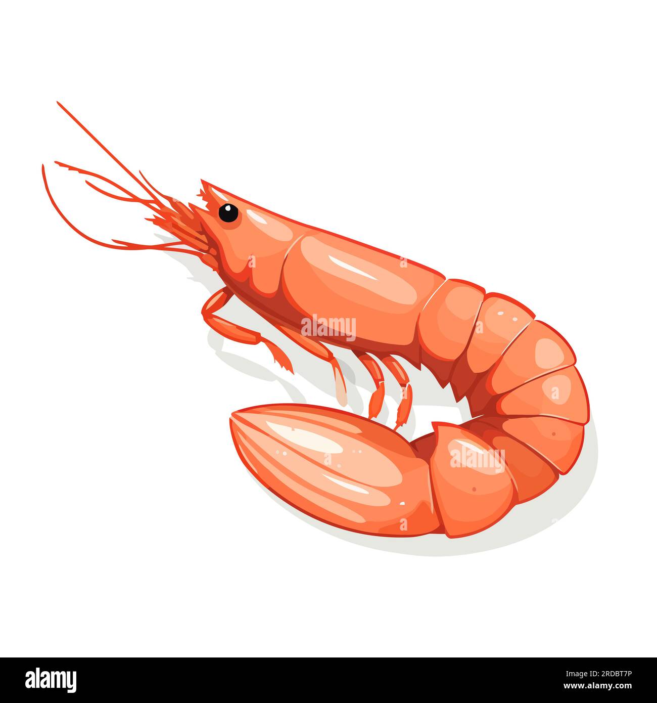 Cooked prawns in shell Stock Vector Images - Alamy