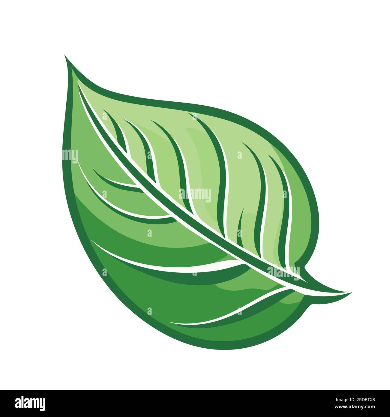 Leaf image. Ecology concept Stock Vector Image & Art - Alamy