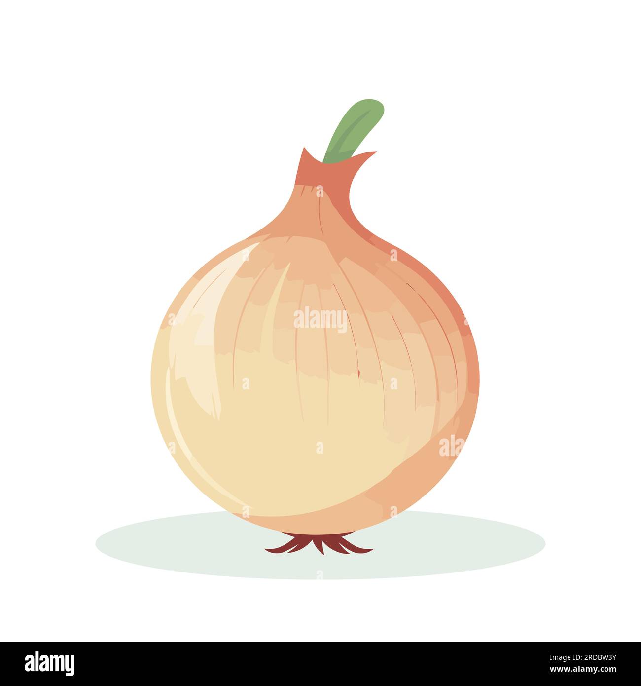 Onion icon. Onion image isolated. Onion sign in flat design Stock ...