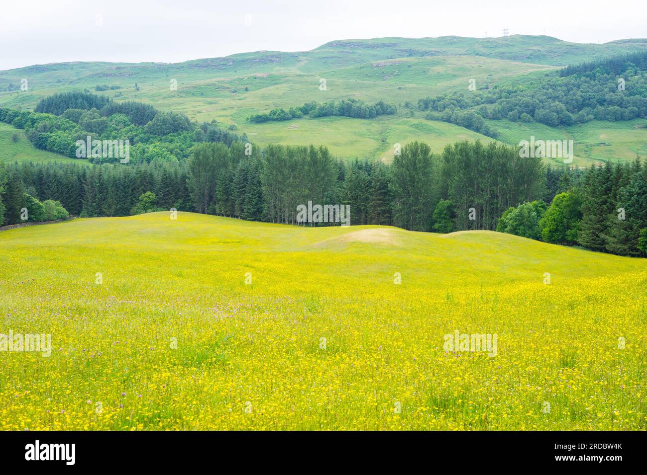 Scottish fields hi-res stock photography and images - Alamy