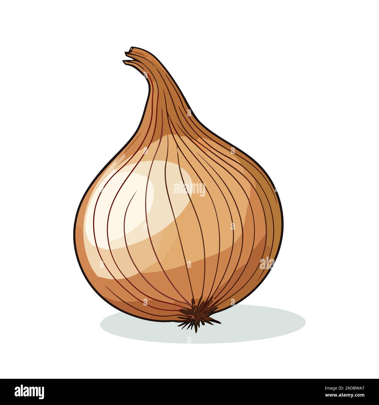 Onion icon. Onion image isolated. Onion sign in flat design Stock ...
