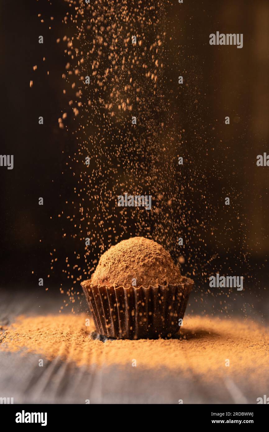 Cocoa powder is sprinkled on a chocolate truffle under a beautiful ...