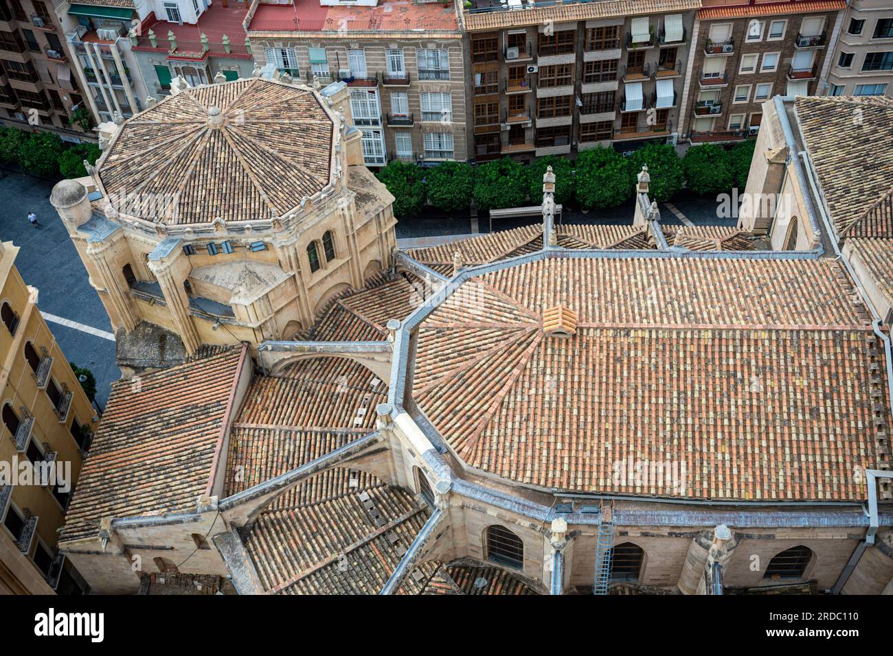 Aerial view of the roofs of the cathedral of Santa Maria de Murcia ...