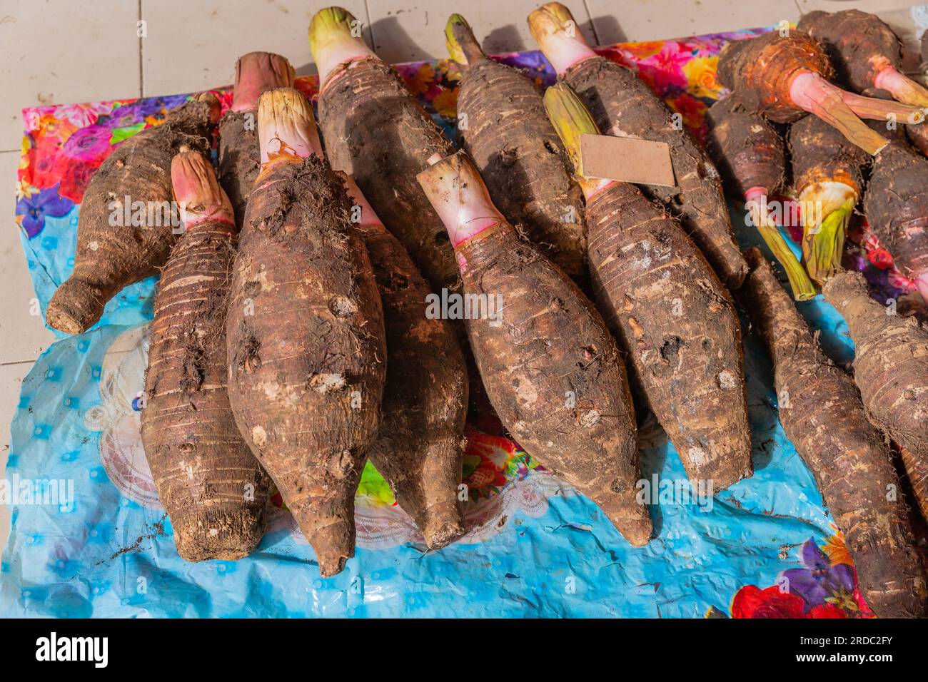 Root vegetables displayed at the public vegetable market in Vanuatu ...