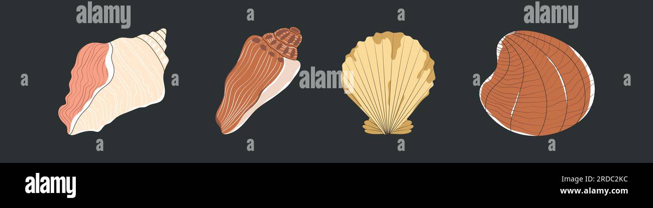 Seashell. Isolated seashells, oyster and clam Stock Vector Image & Art ...
