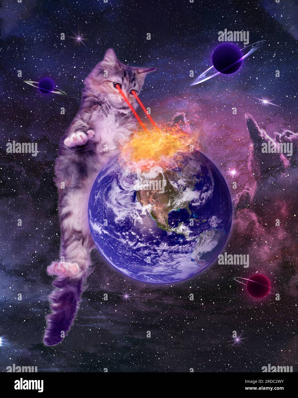 Contemporary art collage. Cat, kitten flying in cosmos, looking on ...