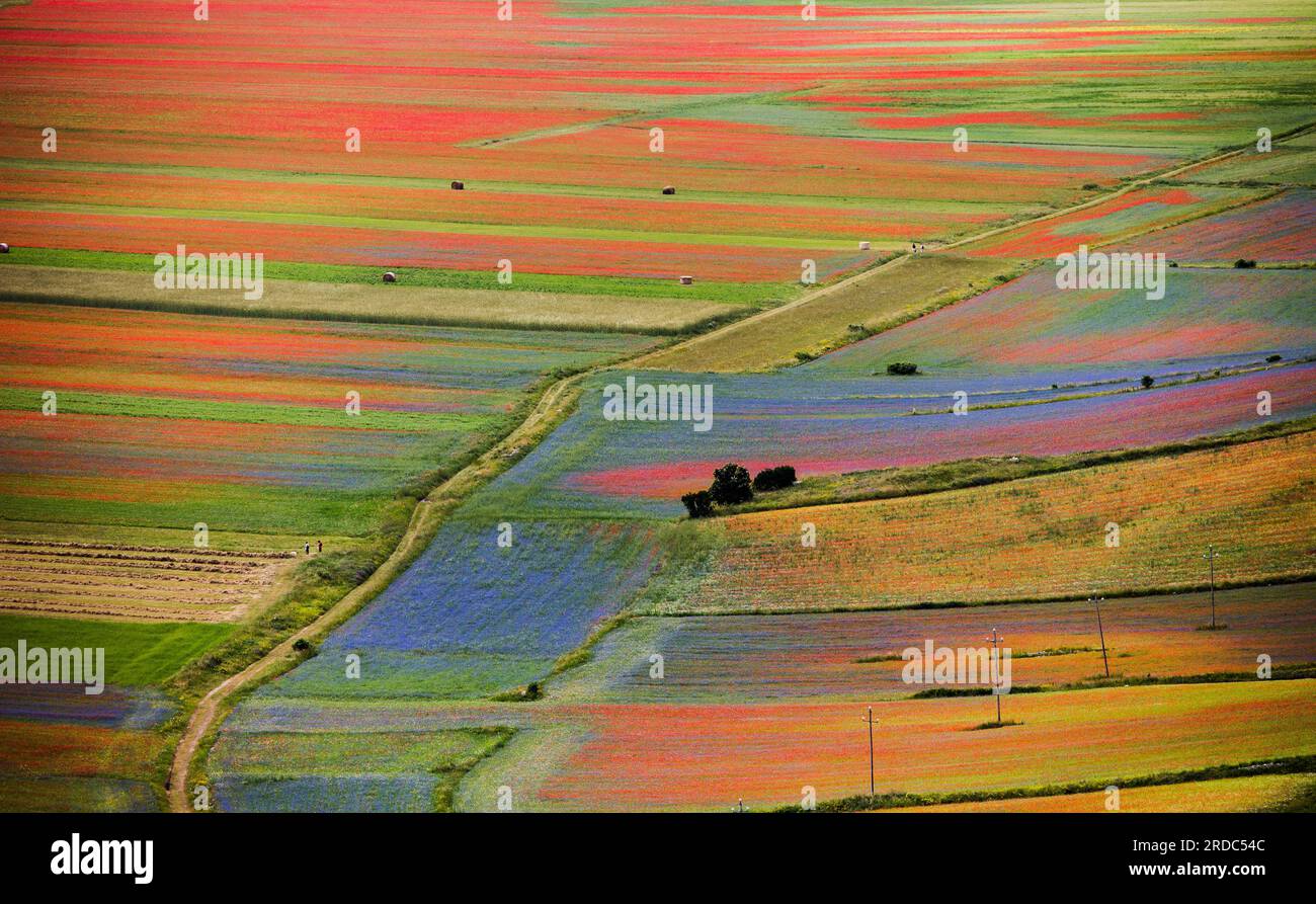 Colorfulspring hi-res stock photography and images - Alamy