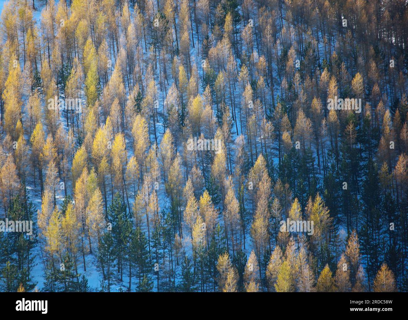 Riverside snowscape hi-res stock photography and images - Alamy