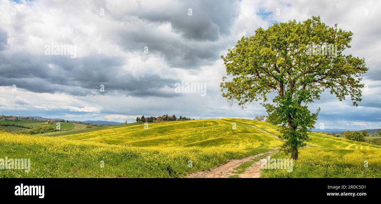 Roadless wilderness hi-res stock photography and images - Alamy