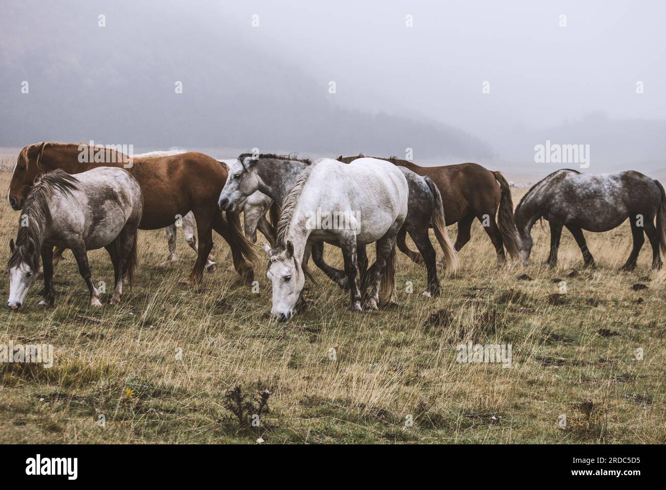 Running and not Stock Photo - Alamy