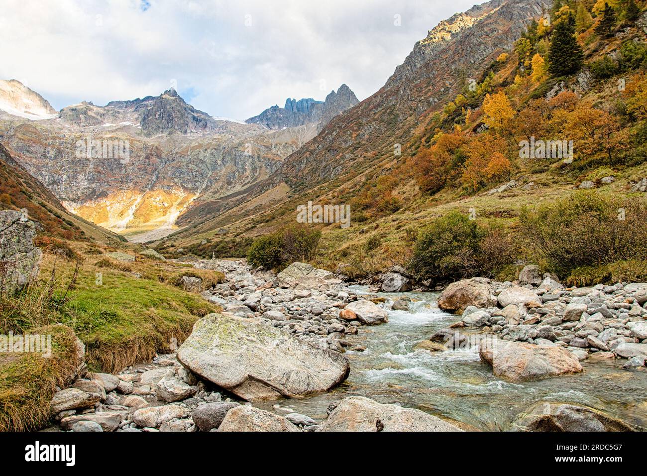 The Long Autumn Walk Stock Photo - Alamy