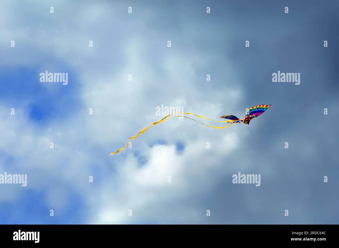 Butterfly kite flies into a storm on the Cape Charles Beach on ...