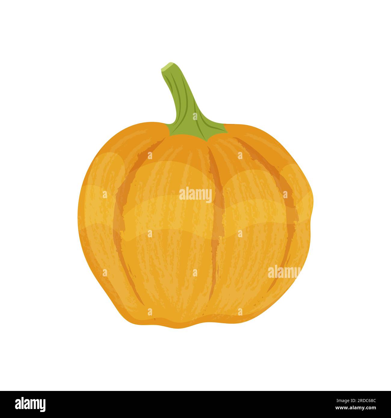 Yellow pumpkin autumn vegetable, Pumpkin harvest on a white background ...