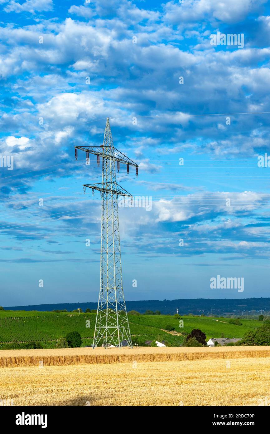 electric pylon at corn field with cloudy sky in scenic afternoon light ...