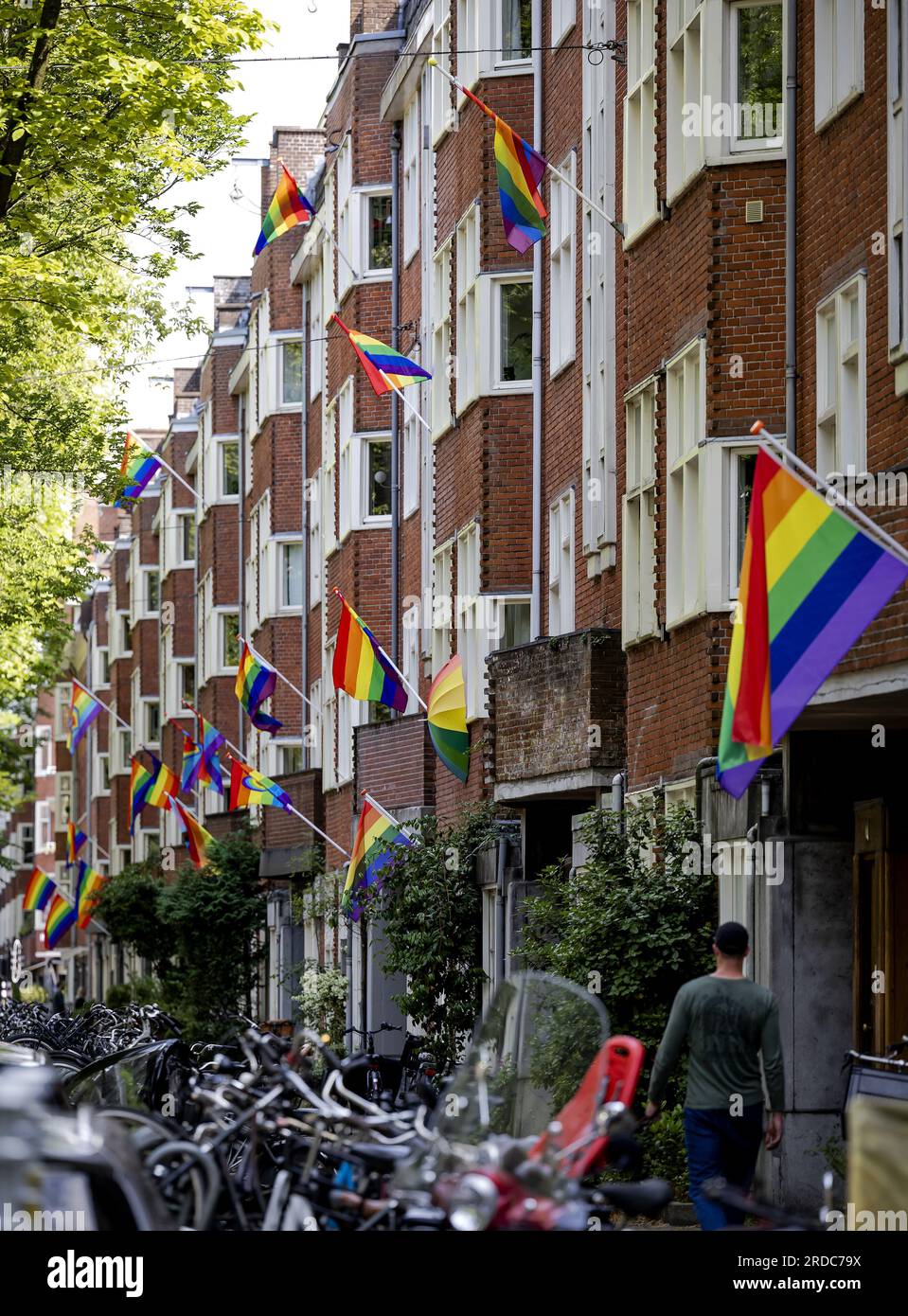 AMSTERDAM - Rainbow flags on houses in the run-up to Queer & Pride ...
