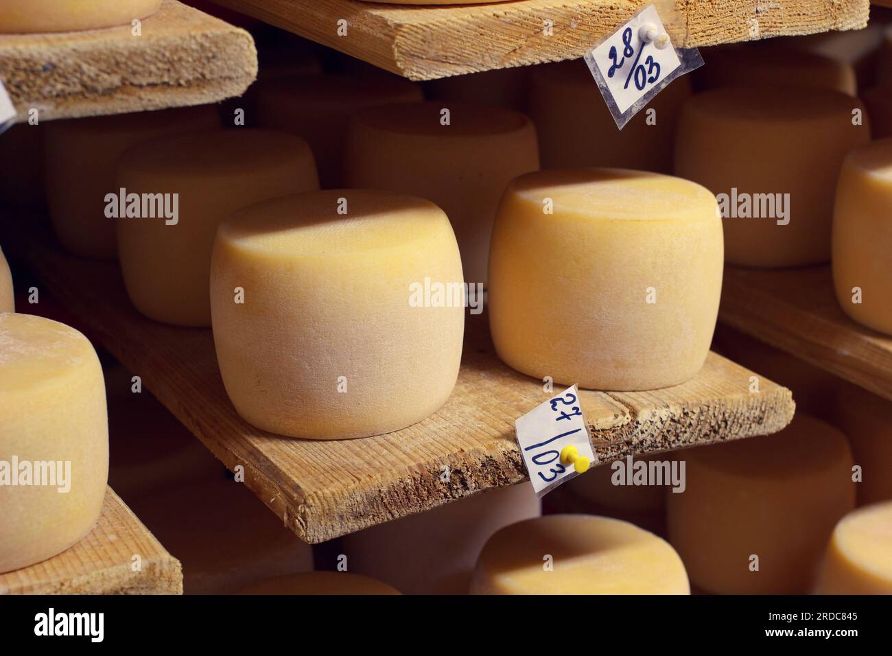 Parmesan cellar hi-res stock photography and images - Alamy
