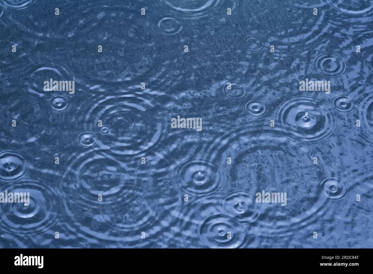 Water Surface With Rain Drops. Concentric Circles Appears Randomly ...