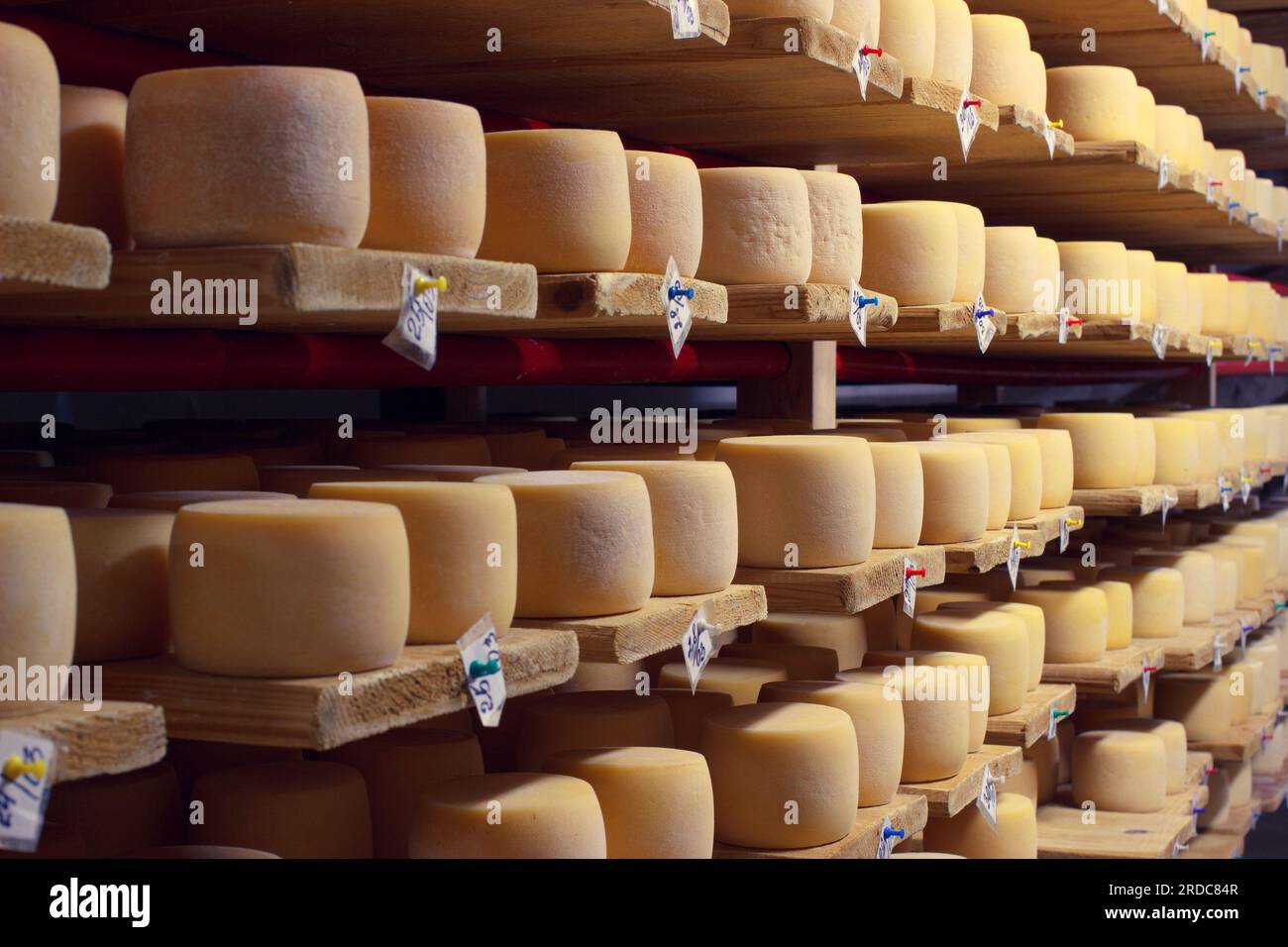 Cheese Factory Production Shelves With Aging Cheese Stock Photo - Alamy