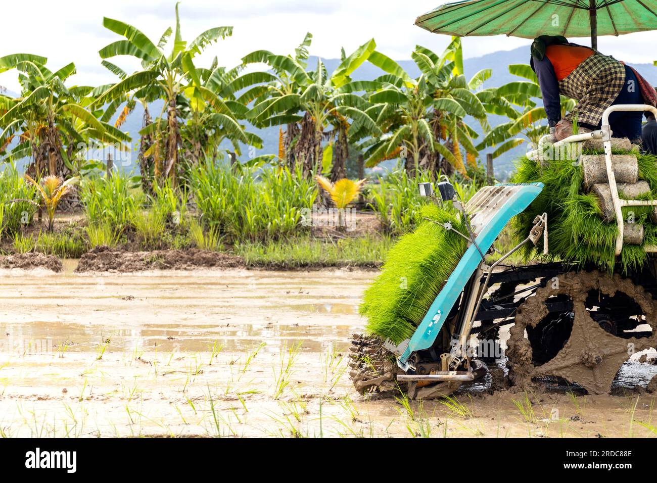 the latest advancements in rice planting machines and agricultural ...