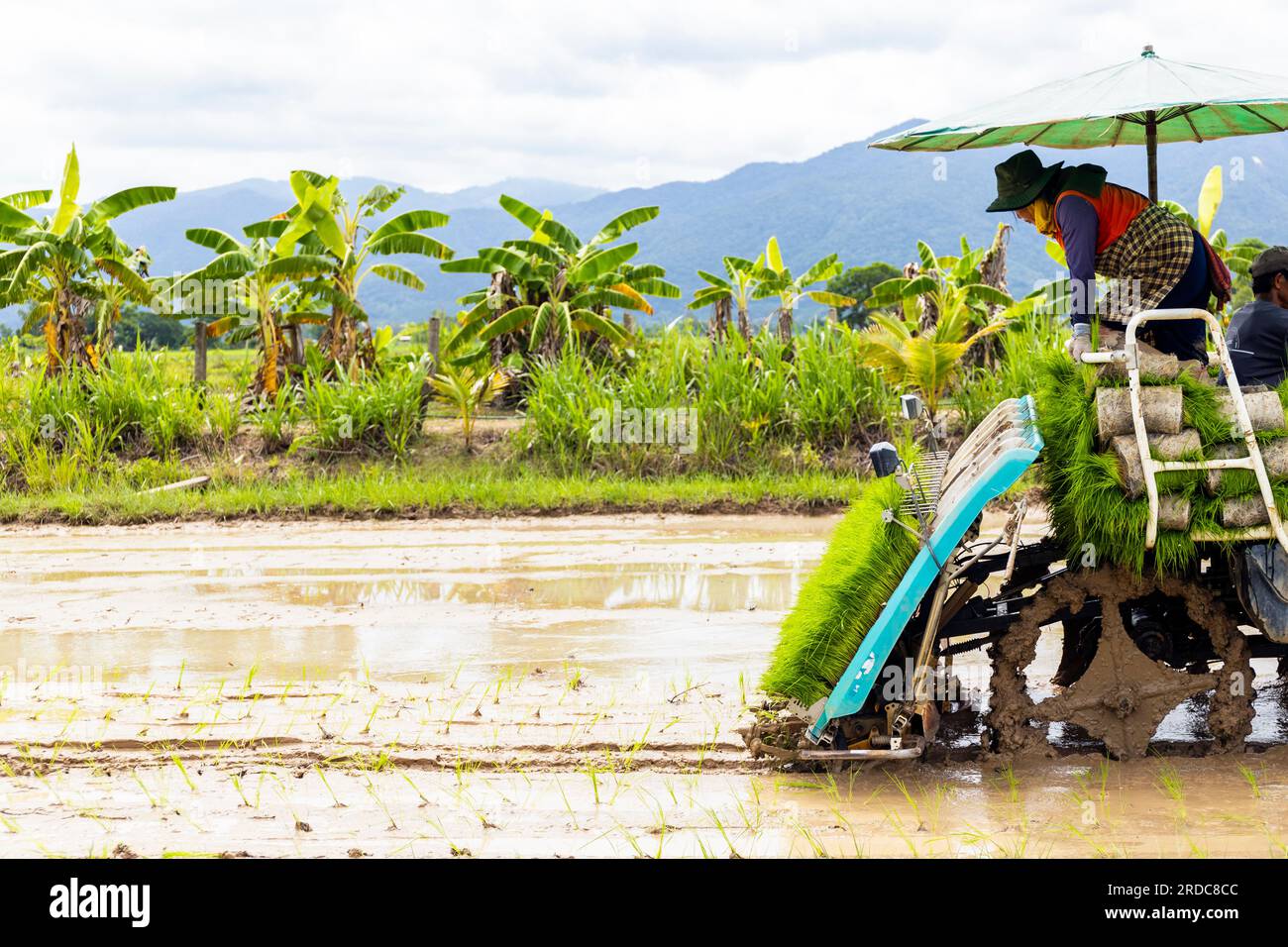 the latest advancements in rice planting machines and agricultural ...