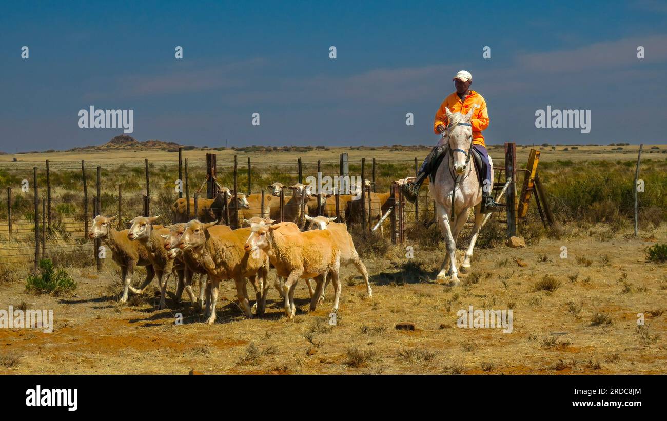 Groot karoo hi-res stock photography and images - Alamy
