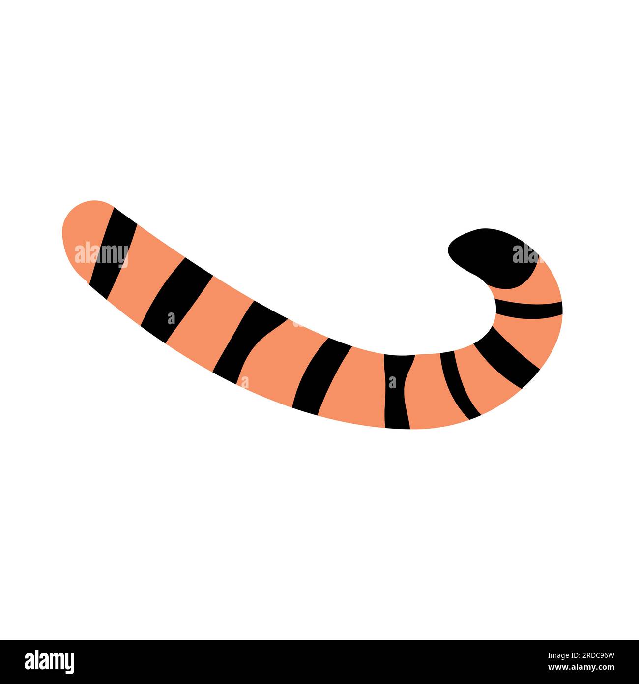 Tiger Tail Vector