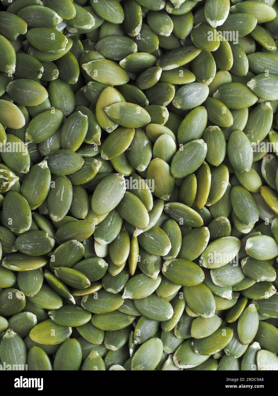 Pumpkin seeds close-up in full screen. Peeled pumpkin seeds without ...