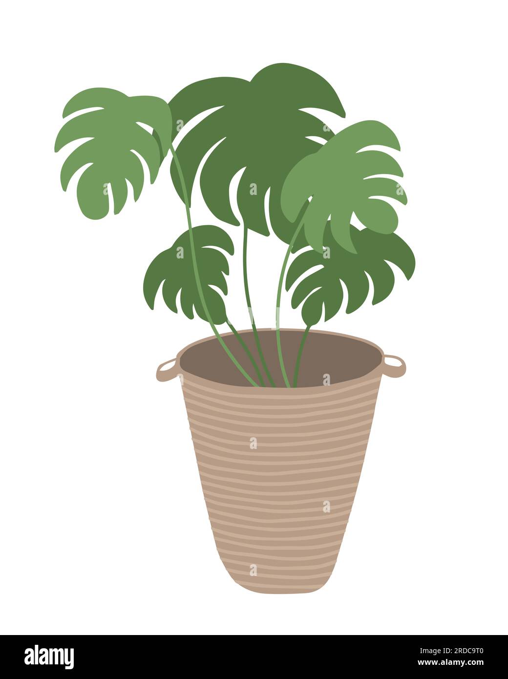 flat monstera plant Stock Vector Image & Art - Alamy