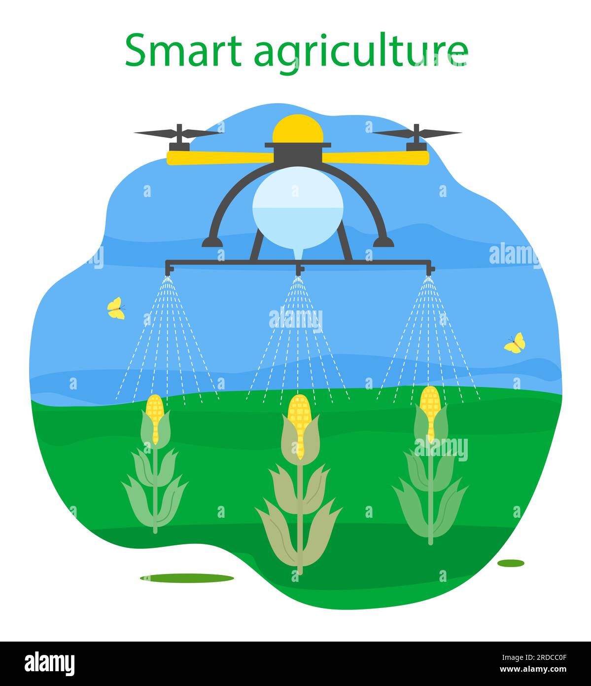 Agricultural drone fly to spray fertilizer water or holmone on field ...